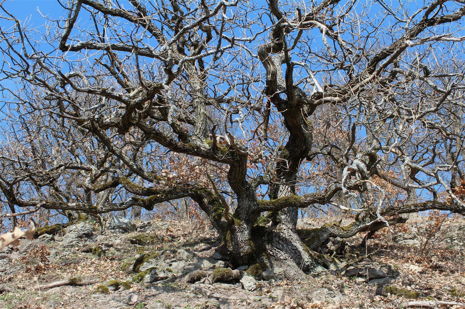 Výber: Cerová vrchovina je pohorie s magickým hradom a skalným ...